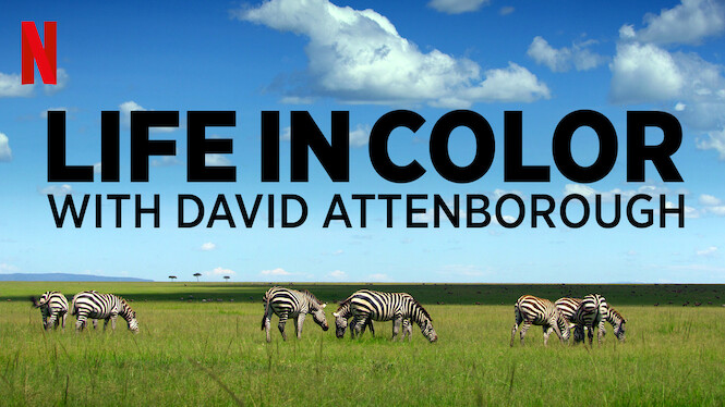 Is 'Life in Color with David Attenborough' on Netflix? Where to Watch ...